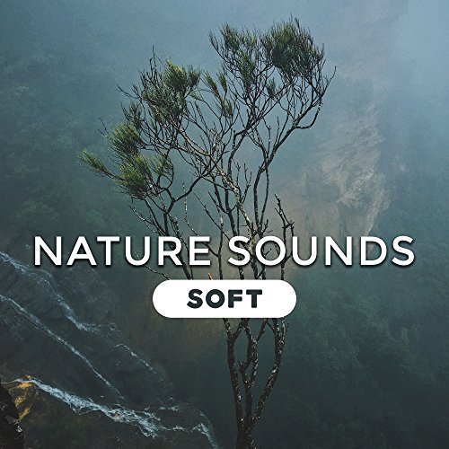 Play Nature Sounds Soft by Nature Sound Collection on Amazon Music
