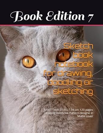 Amazon.com: Sketch book notebook for drawing, doodling or sketching for ...
