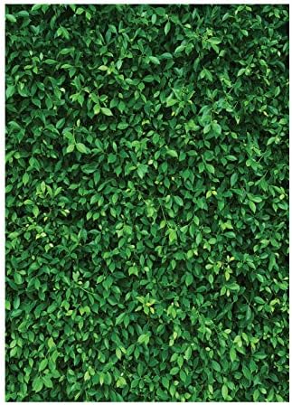 Amazon.com : LYWYGG 8x8FT Green Leaves Photography Backdrops ...