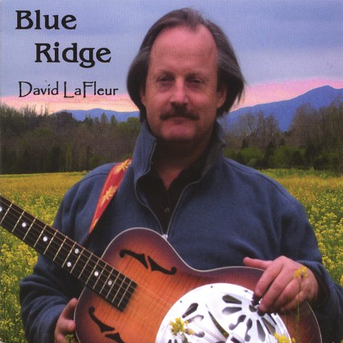 Amazon.com: Blue Ridge : David LaFleur: Digital Music