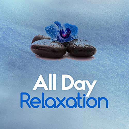 Amazon.com: All Day Relaxation : Relaxation: Digital Music