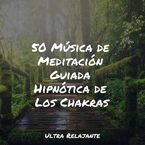 50 Música de Meditación Guiada Hipnótica de Los Chakras by Meditacion ...