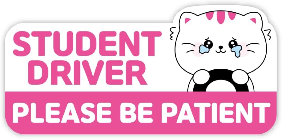 Amazon.com: 4Pcs Newbie Cat Magnetic Car Stickers New Driver Magnet for ...