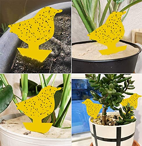 Fly Trap, Yellow Stickers, 50 Pieces, Plug-In Yellow Boards for Potted ...