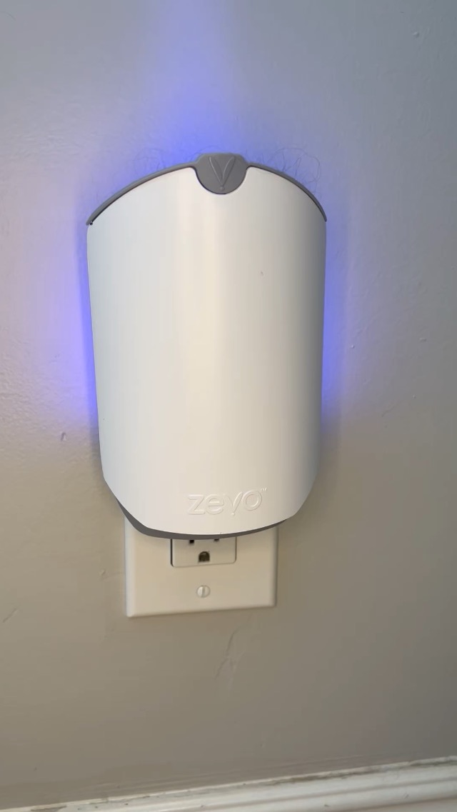 Watch Zevo Bug Trap on Amazon Live