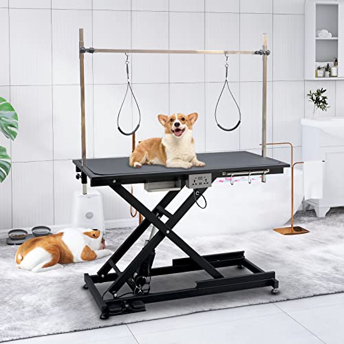 Pet Lift – The 15 best products compared - Wild Explained