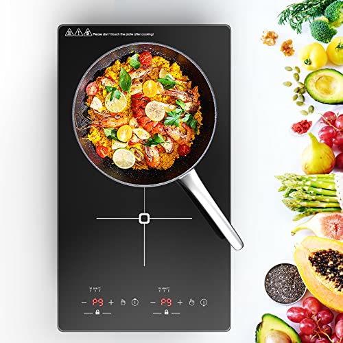 Find The Best High End Induction Cooktop Reviews & Comparison - Katynel