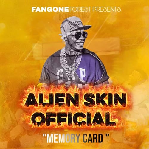 Memory Card : Alien Skin Official: Amazon.fr: Téléchargement de Musique