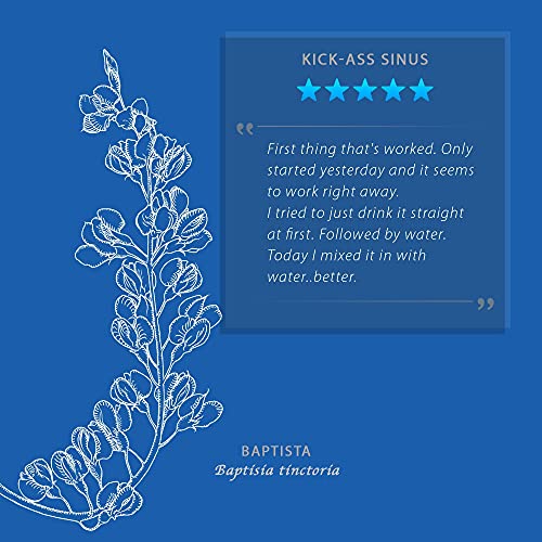 Buy WishGarden Herbs Kick-Ass Sinus - Organic Herbal Sinus Relief ...