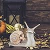 Amazon.com: Wtosuhe Halloween Skeleton Snail Resin Crafts, Snail Skull ...
