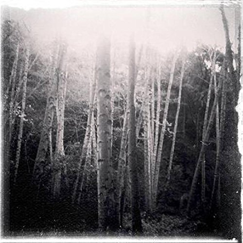 Native Son by Native Son on Amazon Music - Amazon.com