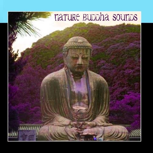Buddha Meditation - Nature Buddha Sounds - Amazon.com Music