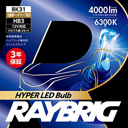 Raybrig Logo