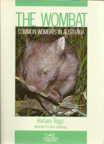 The Wombat: Common Wombats in Australia (Australian Natural History ...