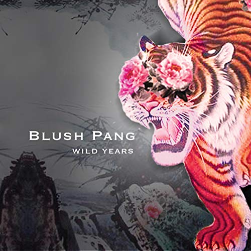 Amazon.com: Wild Years : Blush Pang: Digital Music