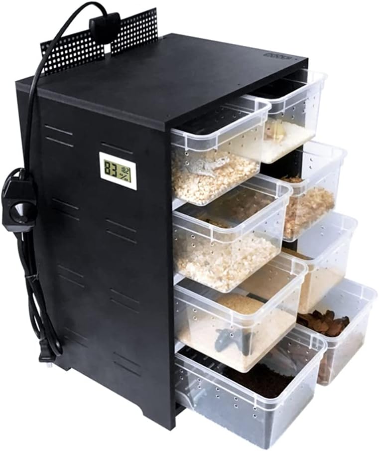 Amazon.com : 8PCS Reptile Feeding Box Snake Breeding Transparent Animal ...