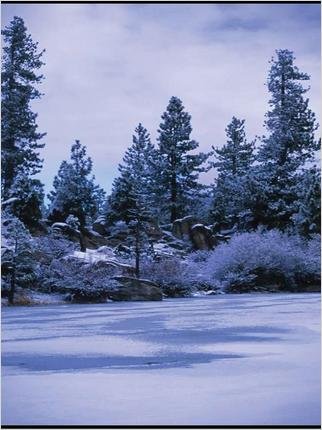 A Hundred Thousand: Jessica Torgerson: 9781411601802: Amazon.com: Books