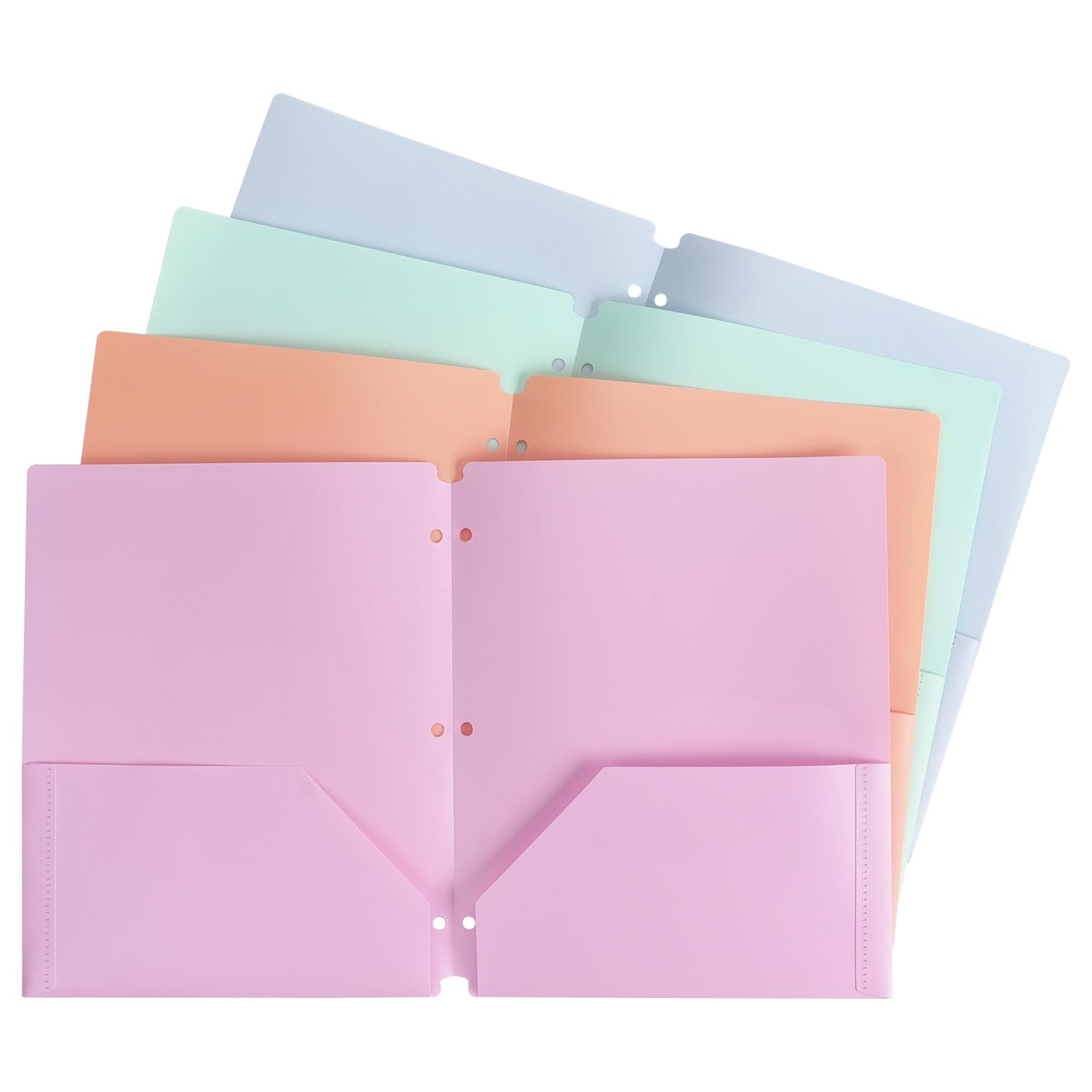 Snapklik.com : Tamaki Colored Plastic Folders