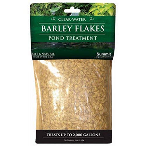 4 Tips On Algae Control With Barley Straw In Ponds | Aqua Movement