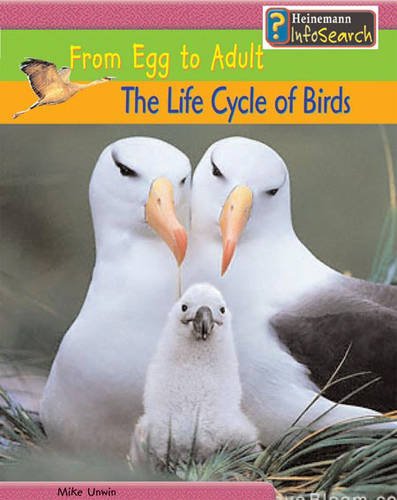 Amazon.com: The Life Cycle of Birds: From Egg to Adult (Heinemann ...