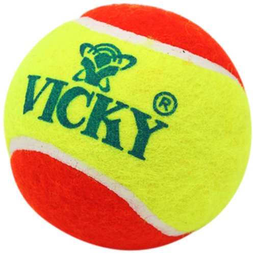 Vicky Cricket Ball Fun Light, Pack of 6 (Orange) : Amazon.in: Sports ...
