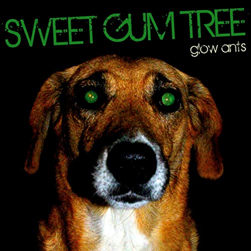 Écouter Glow Ants de Sweet Gum Tree sur Amazon Music