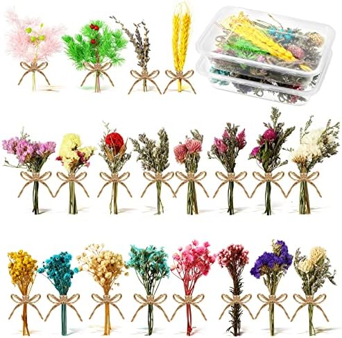 Amazon.com: 10 Pack Dried Flower Bouquets Mini Dried Flower with Stem ...