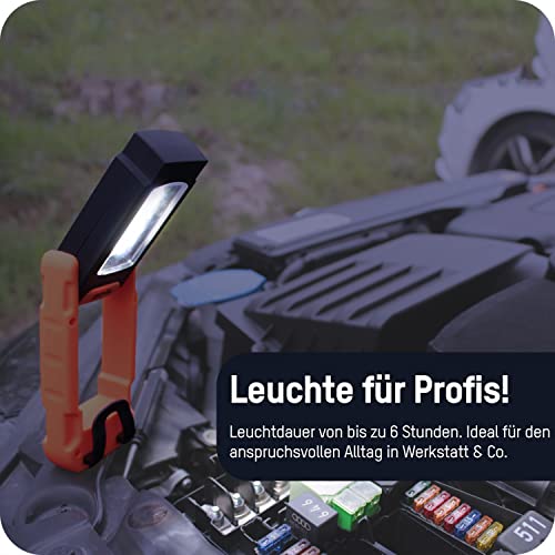 Flexi Mini Led – Die 15 besten Produkte im Vergleich - HundeINFOPortal