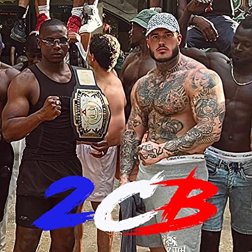 2Cb – Die 16 besten Produkte im Vergleich - Haustierratgeber Ratgeber