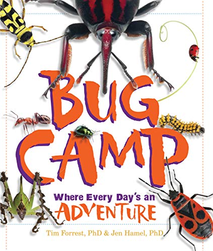 Bug Camp: Where Every Day's an Adventure - Kindle edition by Forrest ...