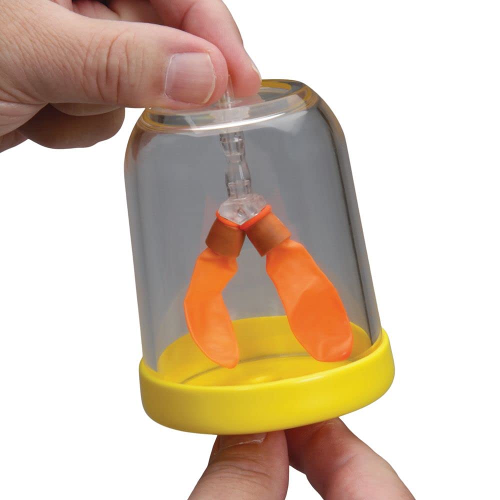 Making A Model Lung