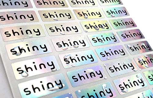 Amazon.com: 144 Silver Hologram Small Name Stickers -Daycare Labels ...