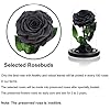 NATROSES Handmade Preserved Roses in Glass Dome, Black Roses Roses ...