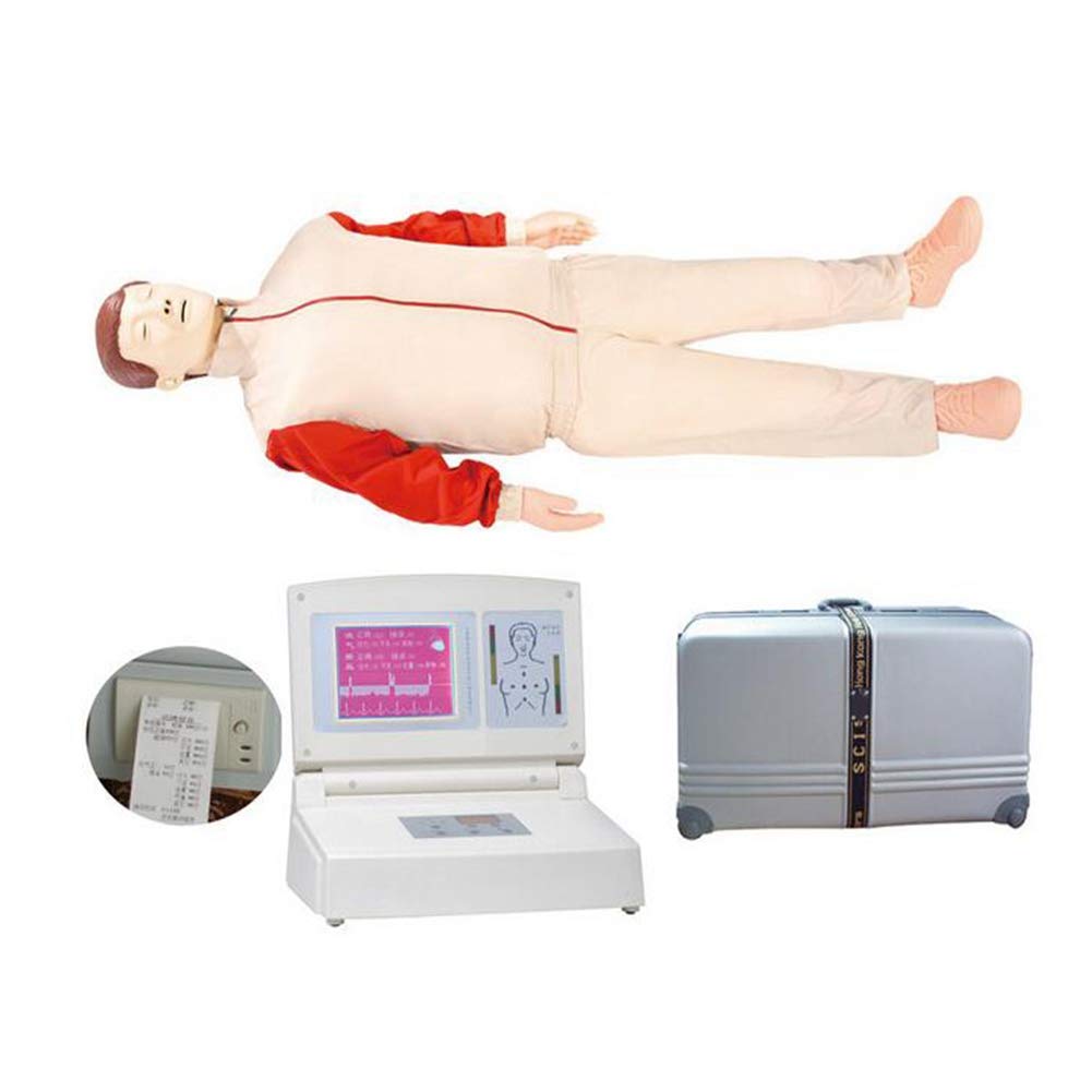 Jin Adult Cpr Manikin Kit Chest Compressions Training Model First ...
