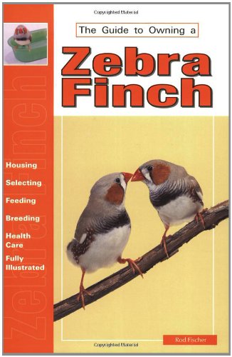 Guide to Owning a Zebra Finch: Fischer, Rod: 9780793820092: Amazon.com ...