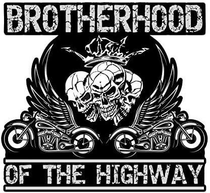 Amazon.com: Motorcycle Helmet Stickers - 100% Vinyl - Stickers for ...