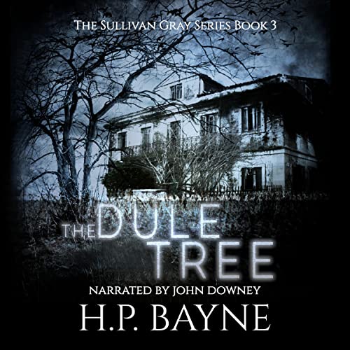 Amazon.com: Black Candle: The Sullivan Gray Series, Book 1 (Audible ...