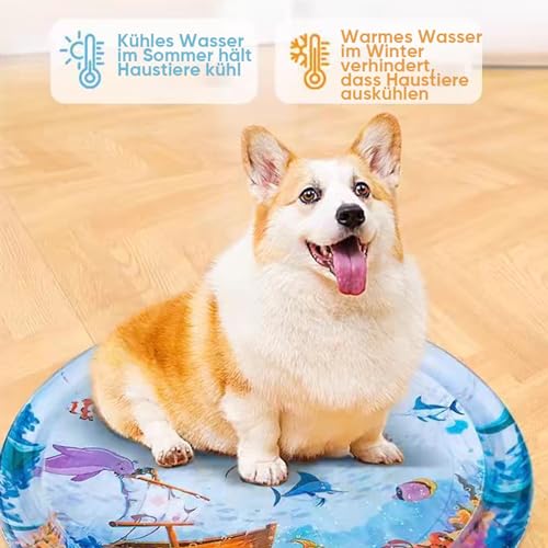Sensorische Wassermatte Fur Haustiere