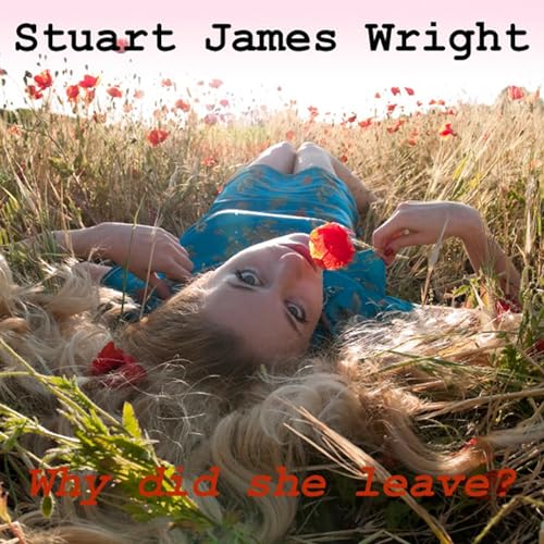 Why Did She Leave by Stuart James Wright on Amazon Music - Amazon.com
