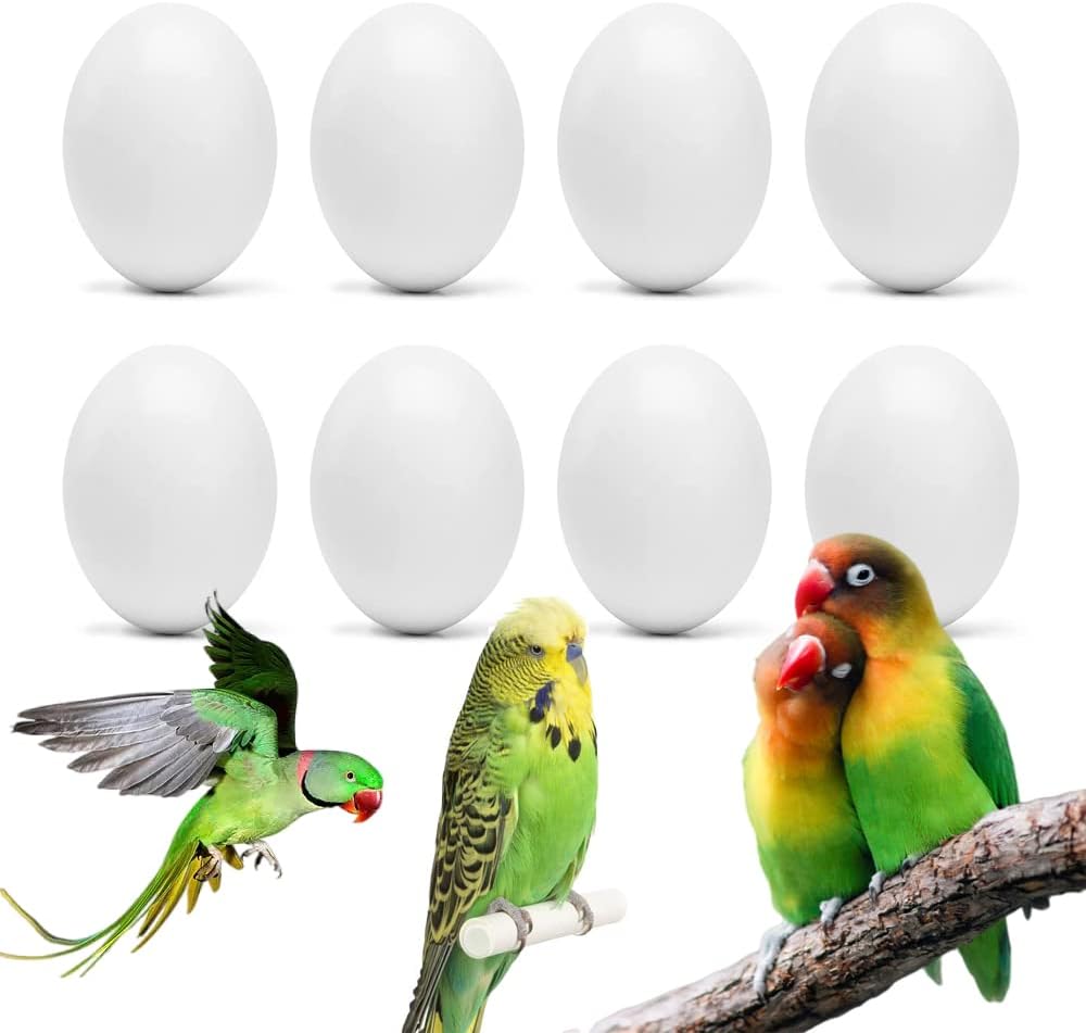 Amazon.com: FOIBURELY 8 Pcs Solid Canary Plastic Eggs Hatching Eggs ...