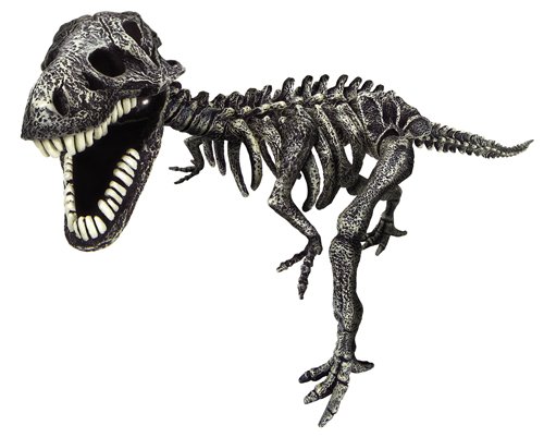 Magnext Magna Bones Assortment : Amazon.in: Toys & Games