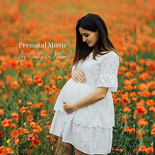 Prenatal Music for Baby in Womb: Relaxing Music Supporting the Proper ...