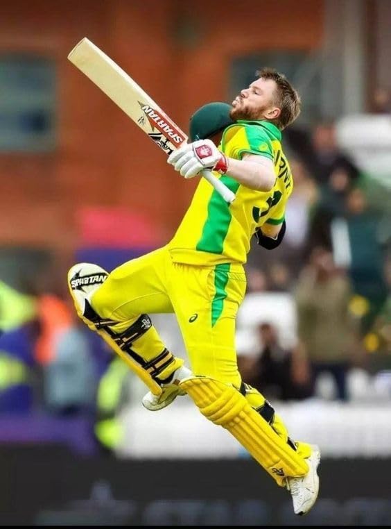 David Warner Poster - 12x18 Inches | 170 GSM Gloss Finish | High ...