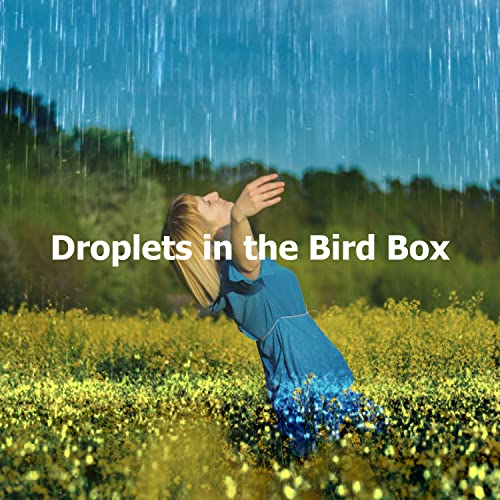 Amazon.com: Droplets in the Bird Box : Outdoor Field Recorders, Sons Da ...