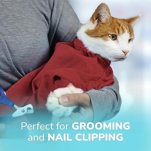 Cat-in-the-Bag Cozy Comfort Transporteur - Grand Sac de Transport Rouge ...