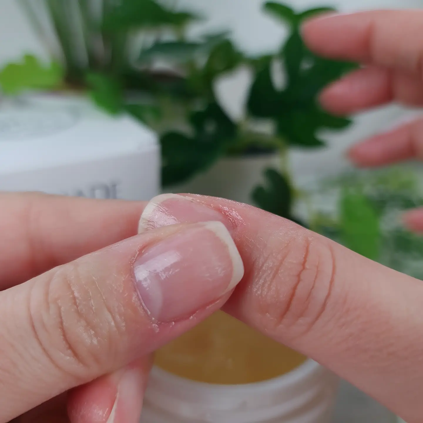 Pommade Divine – Winter Skin Balm for Dry Hands, Cracked Lips ...