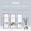 AIRPURE Reed Diffuser, 100ml Oil Set with Sticks, 8X Black Reeds ...