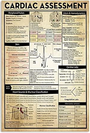 Cardiac Assessment Overview Metal Signs Cardiologist Knowledge Retro ...