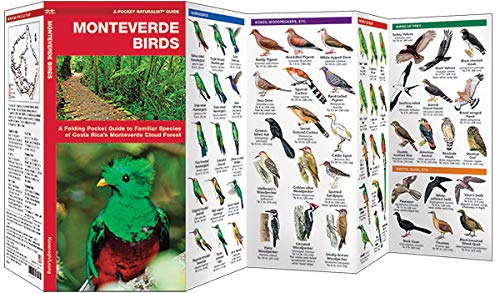 Snapklik.com : Monteverde Birds: A Folding Pocket Guide To Familiar ...
