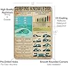 Amazon.com: NEGLAI Surfing Knowledge Anatomy Of A Wave Surf Etiquette ...